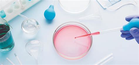 Erp Chimie Groupe Kardol Intégrateur D Erp