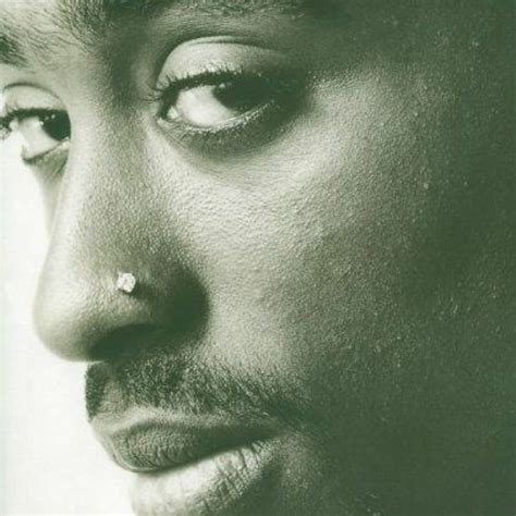 Stream View Pdf The Rose That Grew From Concrete By Tupac Shakur By