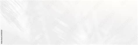 Abstract Shadow Blurred Background Gray Leaves That Reflect Concrete Walls On A White Wall