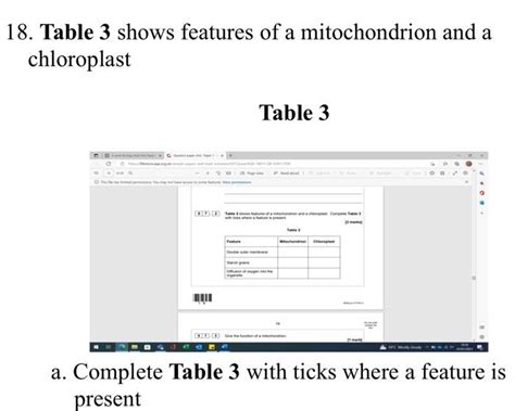 Solved 18 Table 3 Shows Features Of A Mitochondrion And A Chegg
