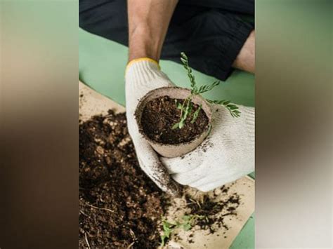 Study Suggests Human Approach Needs To Be Incorporated In Nature Conservation Theprint Anifeed