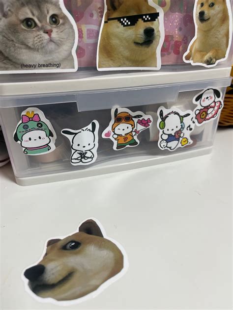 귀여운 게 최고야 콜리 Colley