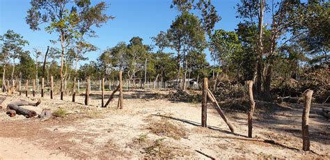 ຂາຍດິນສວນ ແຂວງສະຫວັນນະເຂດ ຂາຍດິນສວນ ແຂວງສະຫວັນນະເຂດ