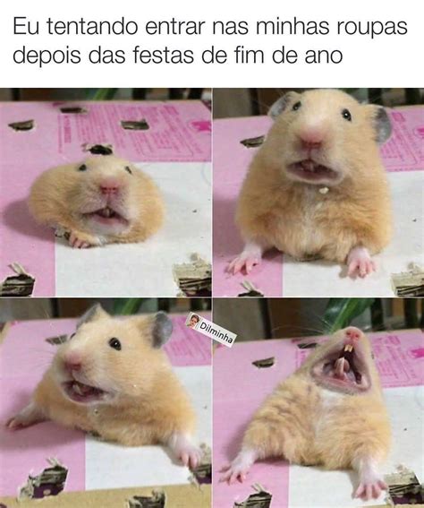 Meu namorado me chama pelo nome Eu não meu nome é amor Memes