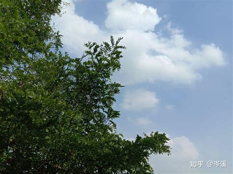 我，还喜欢上海的理由 知乎