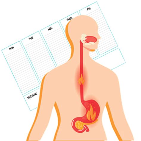 Indian Diet Plan For Acidity Weekly Plan To Reduce Symptoms Candor