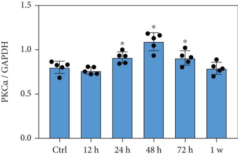 Blast Exposure Significantly Altered The Expression Of Key Proteins