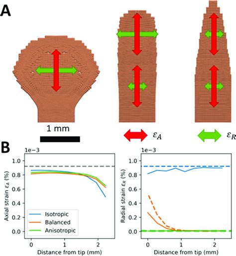 Impact Of Anisotropy Of Mechanical Properties On The Morphology Of A Download Scientific