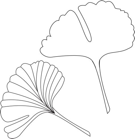Ginkgo Biloba Leaf Vector Icon Black And White 12020434 Vector Art At