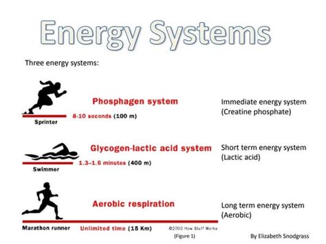 Energy Systems Introduction As Physical Education 2013