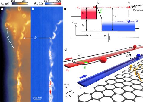 Work Generating And Entropy Generating Processes A Thermal Image Of Download Scientific