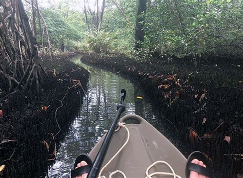 Shelley Hennig Nude Photos Scenes And Porn Scandal Planet