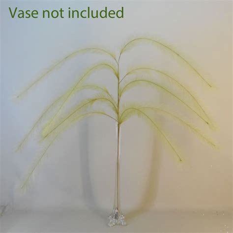 128cm Trailing Artificial Pampas Grass Green Artificial Grasses