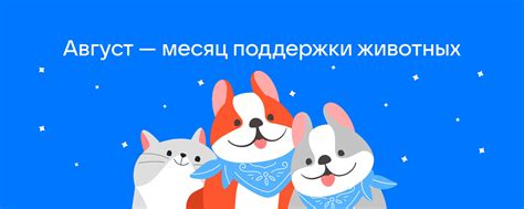 Благотворительность ВКонтакте Сообщество рассказывает о главных