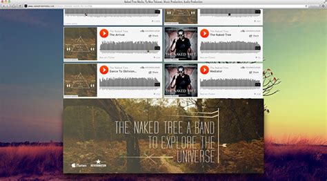 Naked Tree Media Company Brand Identity Graphics On Behance