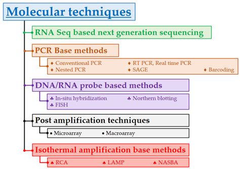 Current Insight Into Traditional And Modern Methods In Fungal Diversity Estimates