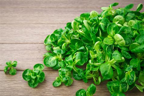 Tinnko 写真、画像、アセット Adobe Stock