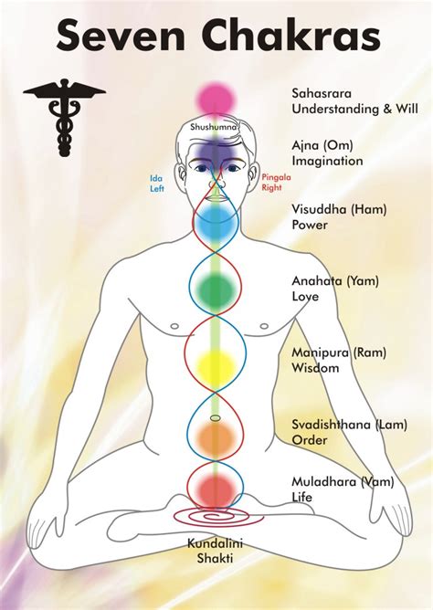 Yoga Therapy Endocrine System
