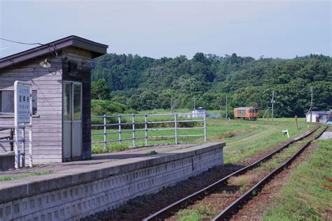 涼を求めて GANREF