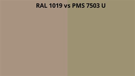 Ral 1019 Vs Pms 7503 U Ral Colour Chart Uk