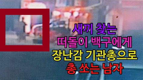 새끼 찾아 떠도는 백구에게 기관총 쏘는 남자 Youtube