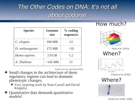 PPT The Other Codes On DNA Its Not All About Codons DOKUMEN TIPS