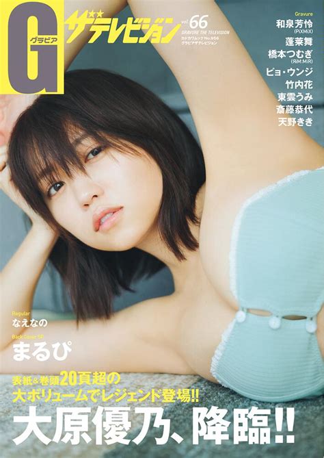 「グラビアザテレビジョン Vol66」 カドカワムック Kadokawa