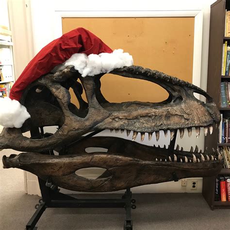 Branden Hamilton Brandenhamilton Twitter