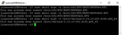 Github Ryanrudolfobasecurebootforsteamdeck This Repository Contains The Instructions On How