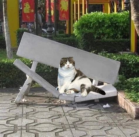 糟透了