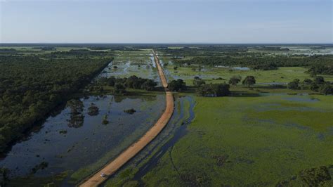 Pantanal Norte O Que Fazer Onde Se Hospedar E Dicas