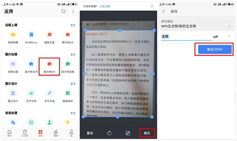 Wps Pdf