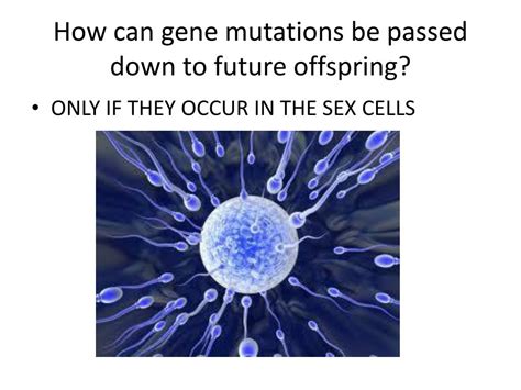 Ppt Mutations Powerpoint Presentation Free Download Id 2664465