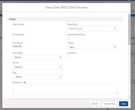Visualforce Prepopulate A Field Via Button Override Of Clone Button