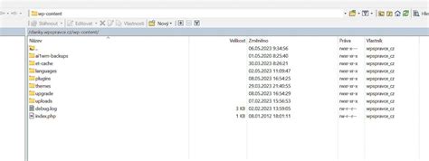 Jak Ve Wordpress Opravit Chybu Bílá Smrt