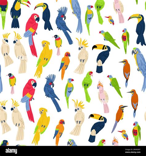 Colorful Exotic Birds Vector Seamless Pattern On White Exotic Bird