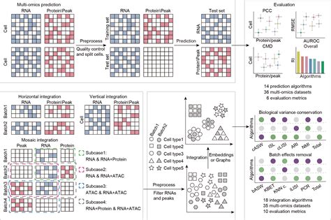 Benchmarking Algorithms For Single Cell Multi Omics Prediction And Integration Research