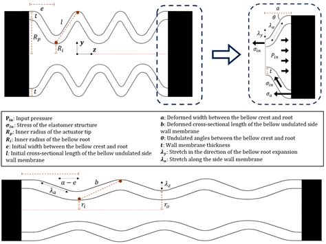 Quasi Static Modeling Framework For Soft Bellow Based Biomimetic Actuators