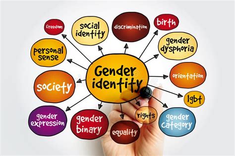 Gender Identity Mind Map Concept For Presentations And Reports Stock