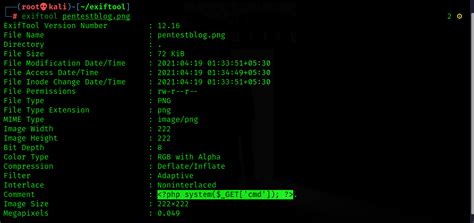 ssv3 payload extractor wordpress serverdop