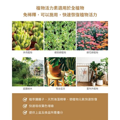 【欣榮園藝全館299免運】植物活力素 免稀釋營養液 植物營養液 植物急救 液體肥料 觀葉植物肥料 多肉植物肥料 花田綠地 蝦皮購物