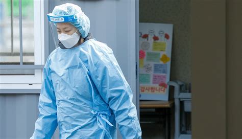 속보 코로나19 신규 확진 446명다시 400명대로 위키트리