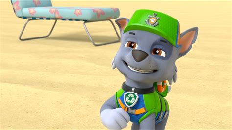 Rocky Paw Patrol Photo 40718539 Fanpop
