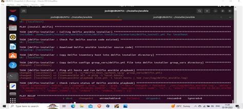 Issue In Installation Of Delfin With The Dashboard In Ubuntu