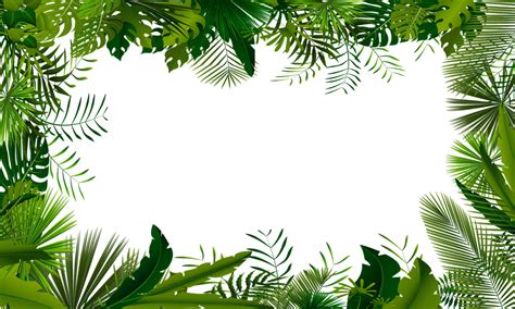 Frame Jungle Leaves Png Frame Jungle Leaves Png Free