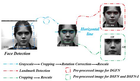 The Image Preprocessing For Three Models Proposed In Our Workdifferent