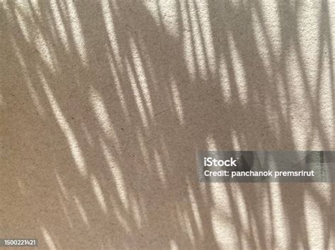 콘크리트 벽 질감에 그림자 배경을 남기고 나뭇가지 그늘을 남긴다 0명에 대한 스톡 사진 및 기타 이미지 0명 건축 공원 Istock