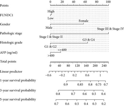 FUNDC1 Nomogram Model And ROC Analysis A The Diagnostic ROC Curve