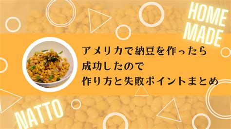 アメリカで納豆を作ったら成功したので作り方と失敗ポイントまとめ らいさわブログ