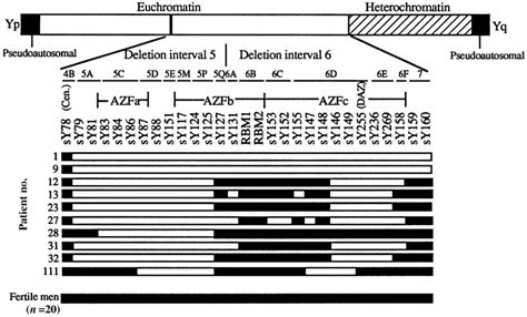 Sequence Tagged Sites Sts Polymerase Chain Reaction Pcr Data Of The